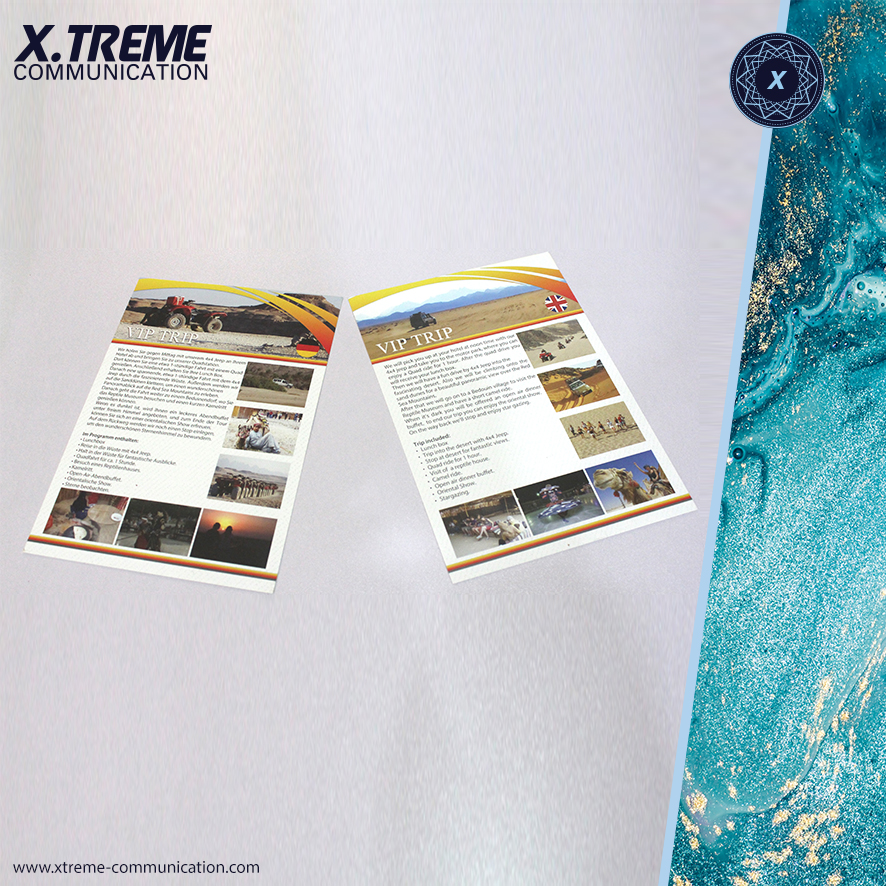 Alex Safari El Gouna