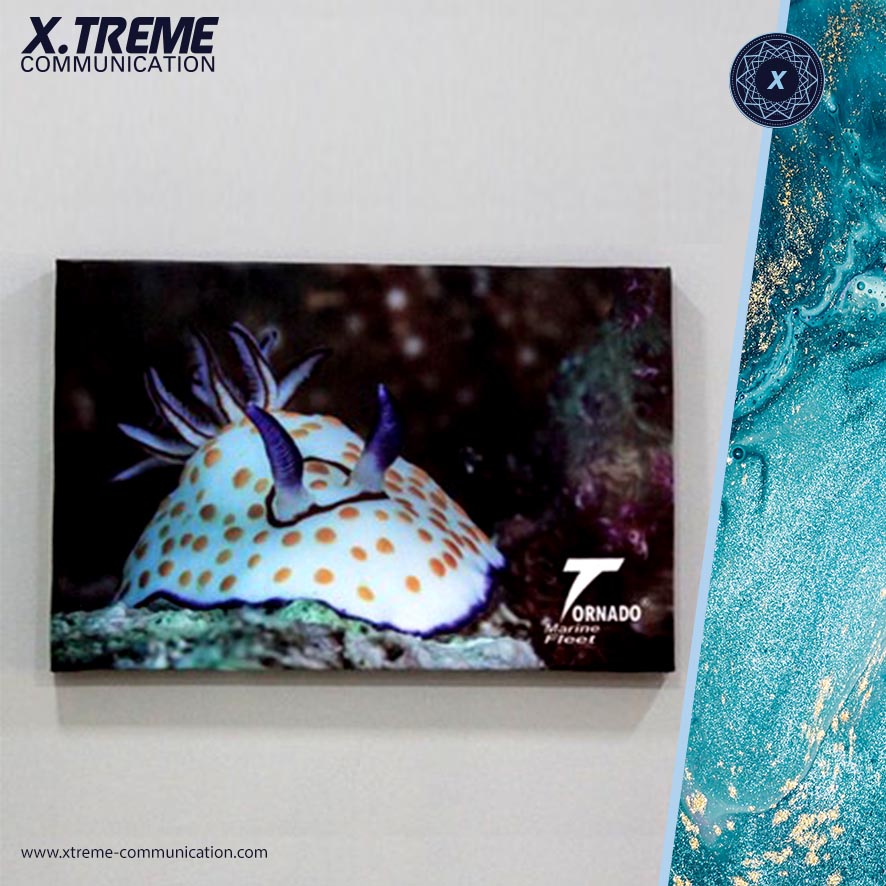 Tornado Marine Fleet