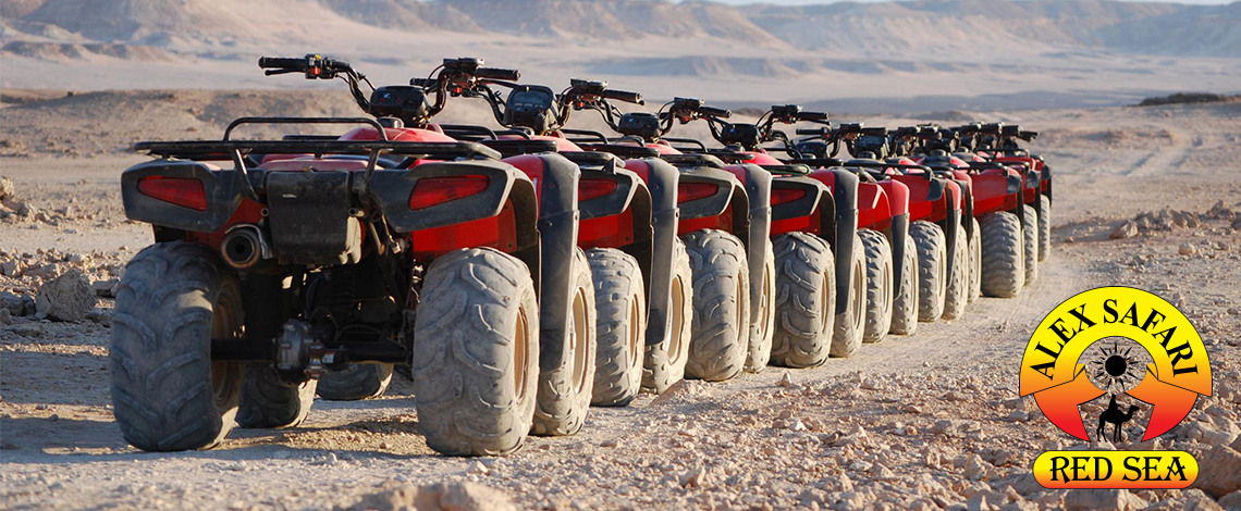 Alex Safari El Gouna